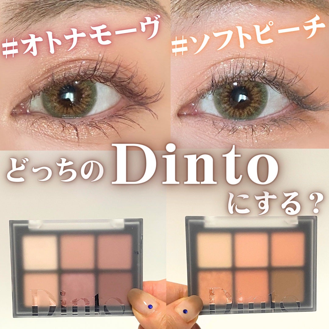 ブラーフィニシュシャドウパレット|dintoの使い方を徹底解説 Pr Dinto様から提供いただきました By めがねちゃんフォロバ🫶