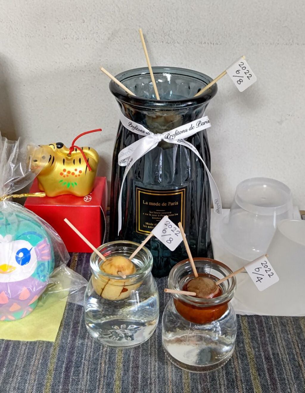 ガラス花瓶|daisoの口コミ 超優秀!100均で買えるおすすめコスメ!水耕栽培を始めた日付はカレンダーに書いてあるけれど、何か忘れそうだ