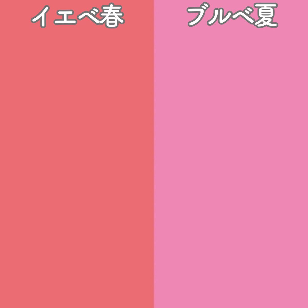 パーソナルカラー診断|viséeの口コミ 【指を置くだけでわかる!?自分でパーソナルカラー診断】 By さやか🩶韓国スキンケアフォロバ