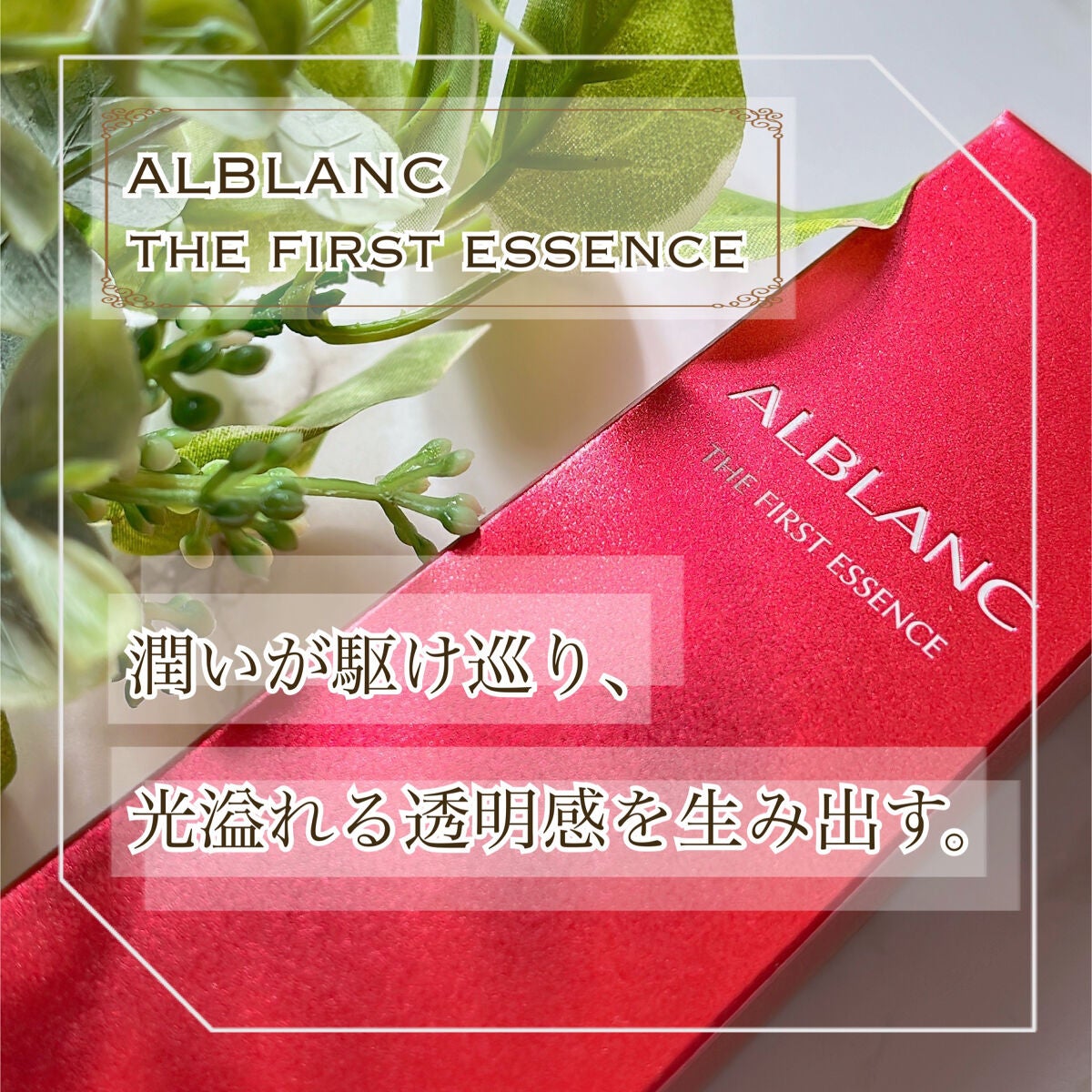ザ ファーストエッセンス 本品|alblancの効果に関する口コミ「 ••┈┈•• ••┈┈•• ••┈┈•• ••┈┈•• 」 By
