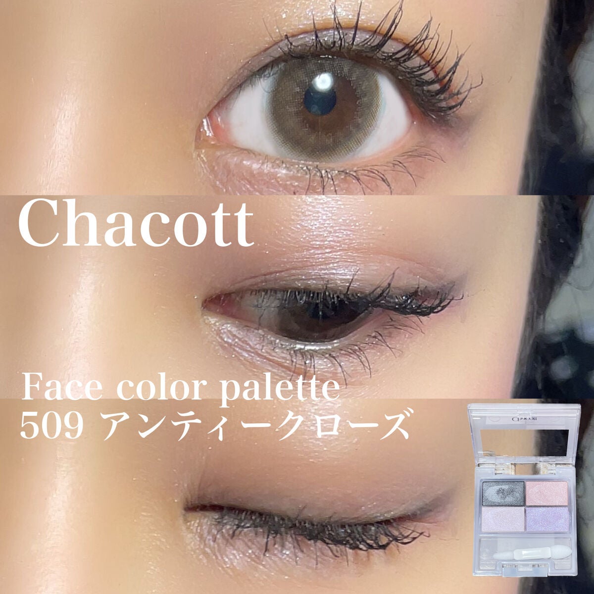 フェイスカラーパレット|チャコット・コスメティクスの口コミ ブルベにおすすめのパウダーアイシャドウ!チャコット・コスメティクス フェイス