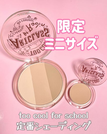 【試してみた】アートクラスバイロダン シェーディング Too Cool For Schoolの人気色・イエベブルベ別の口コミ・レビュー Lips