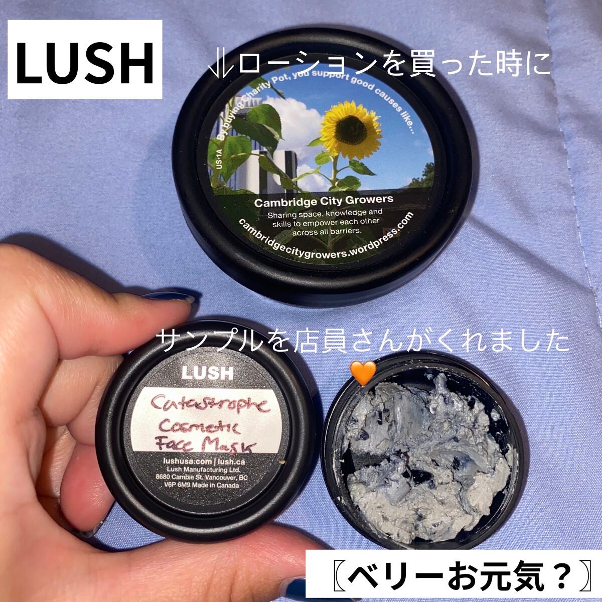 ベリーお元気?|ラッシュの使い方を徹底解説 乾燥肌におすすめの洗い流すパック・マスク!lush 【ベリーお元気?catastrophe