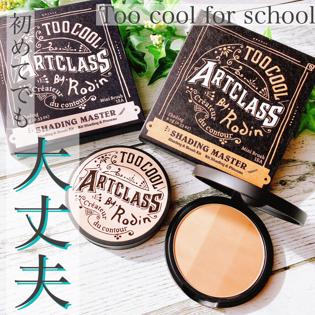 アートクラス バイロダンシェーディングマスター|too Cool For Schoolの口コミ「too Cool For School