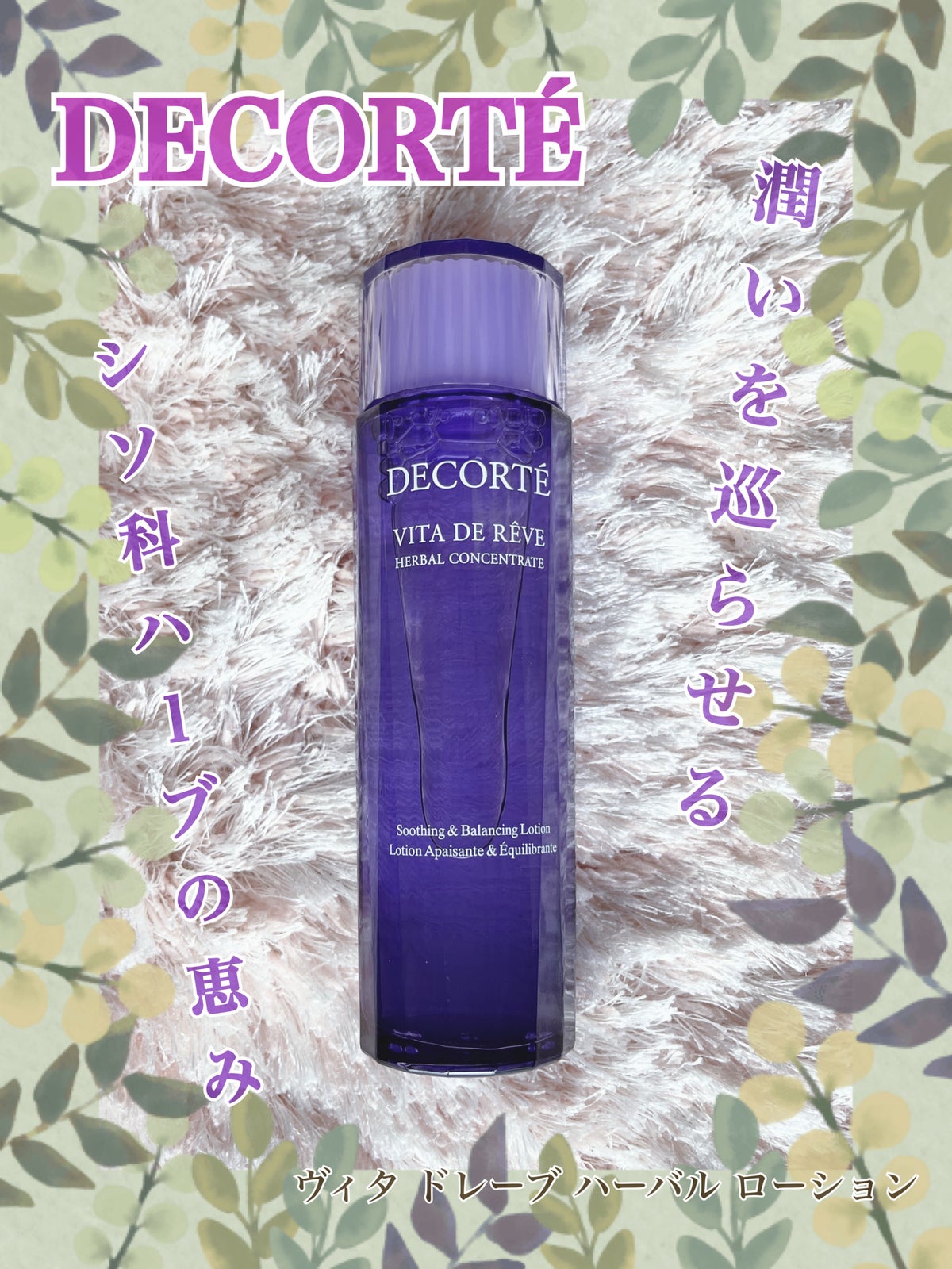 ヴィタ ドレーブ|decortÉの口コミ 【decortシソ科ハーブの恵み🌿💜 By みどりん🐸 Lips