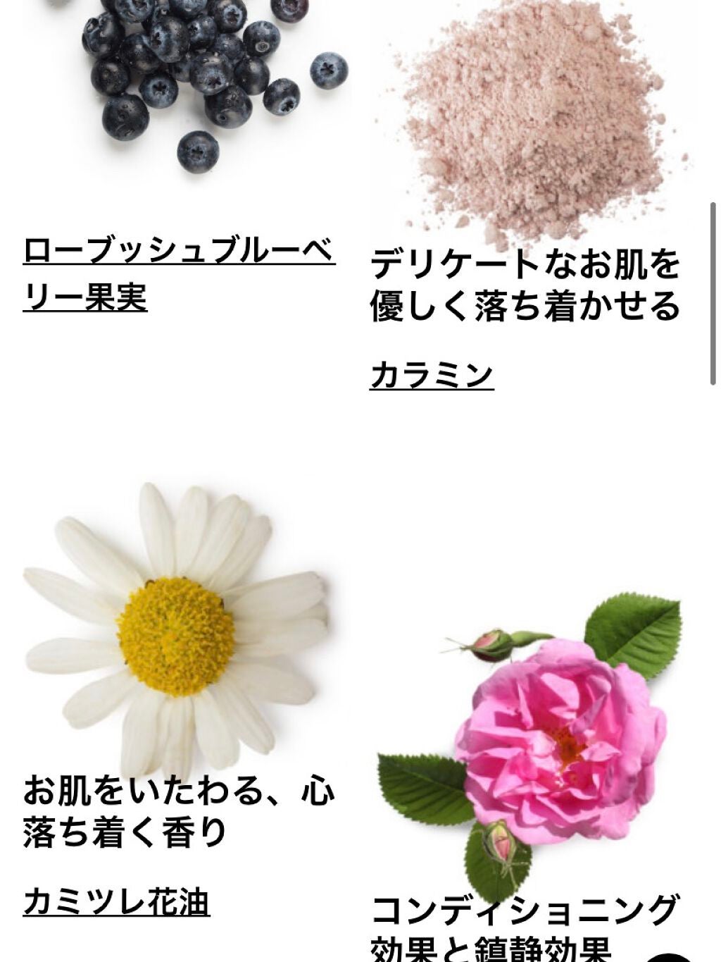 ベリーお元気?|ラッシュの口コミ 乾燥肌におすすめの洗い流すパック・マスク!今回紹介するのはラッシュのベリーお元気?です!! By Rin