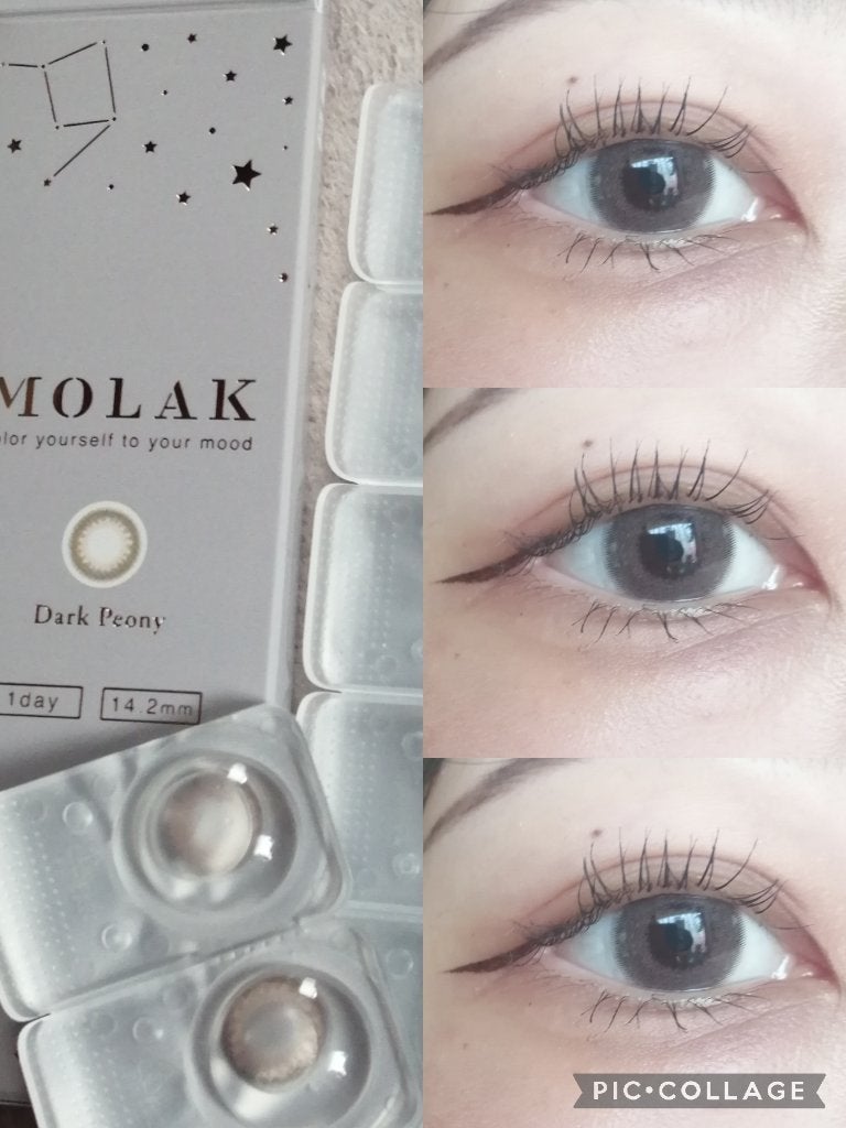 【2023年夏新作カラーコンタクトレンズ】molak 1day|molakのカラコンレポ・着画口コミ 人気のダークピオニーがワンデーにも