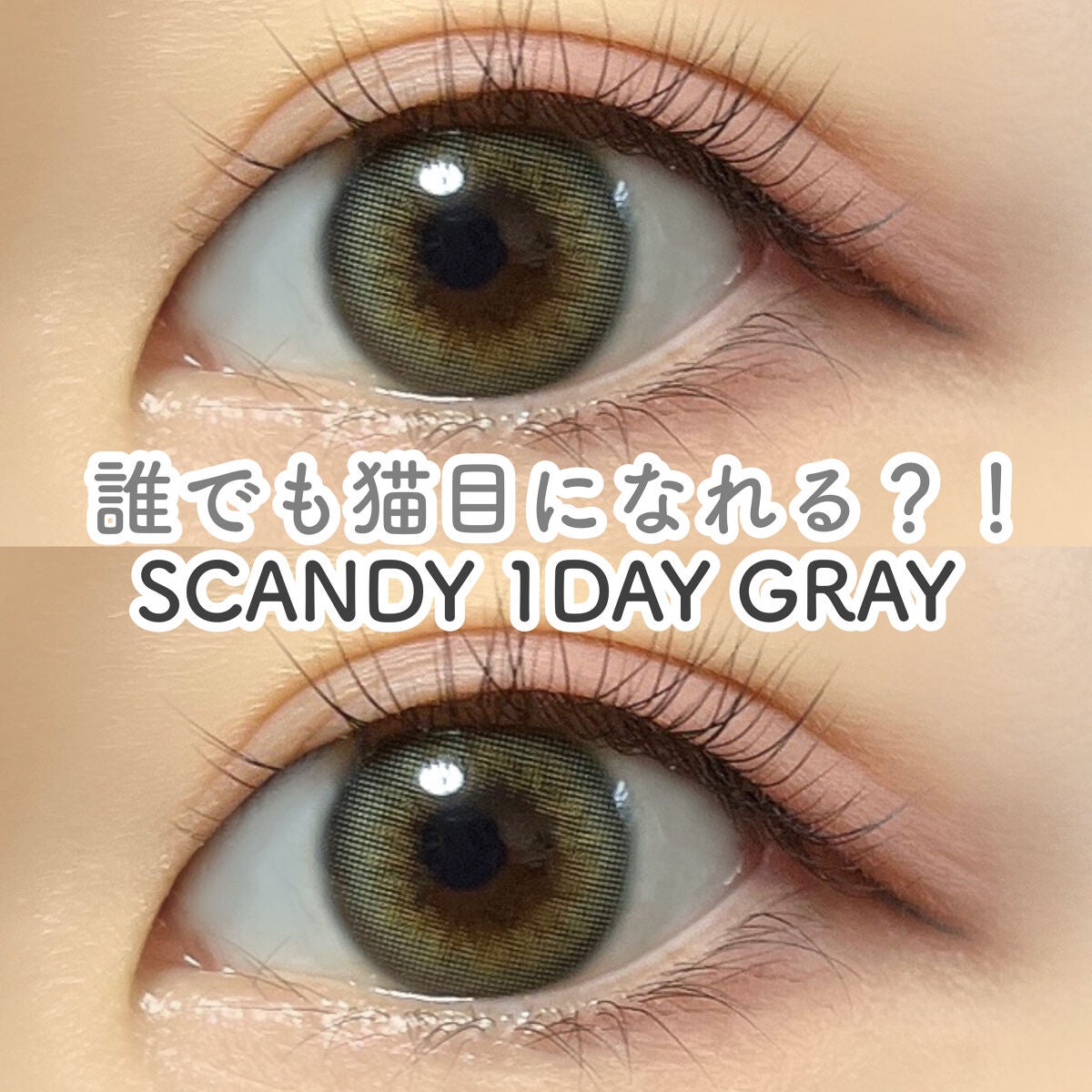 Scandi 1day|olensのカラコンレポ・着画口コミ 誰でも猫目になれる高発色カラコン By Myn21🧸敏感肌 Lips