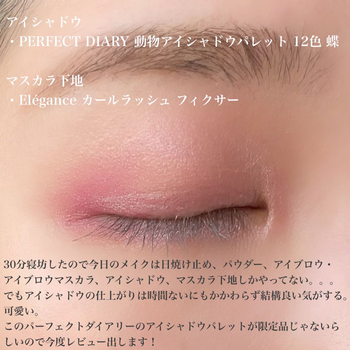 Elégance・パーフェクトダイアリーのメイクアップを使った口コミ 今日のメイク 寝坊した日のメイク。 By わいん乾燥肌 Lips