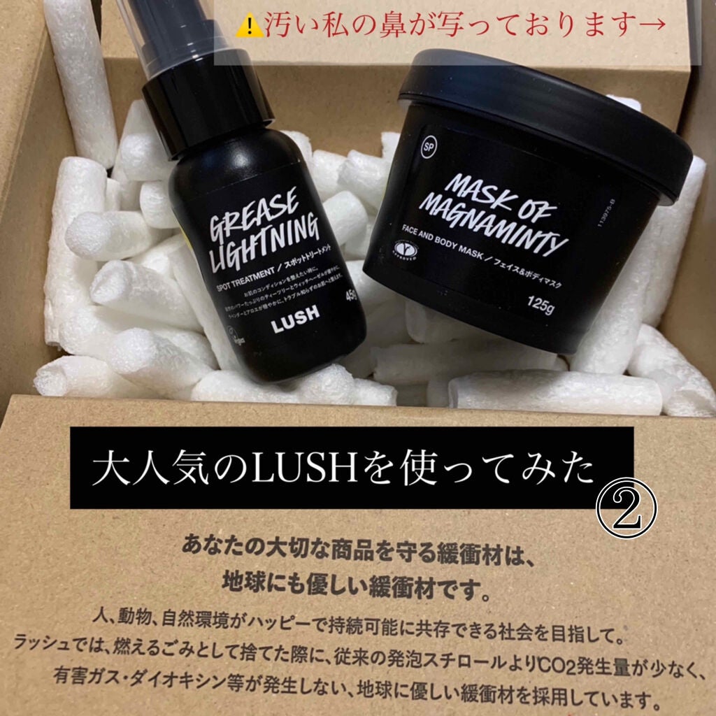 ラッシュのスキンケア・基礎化粧品 パワーマスク Sp&艶肌ドロップを使った口コミ Lushの毛穴ケアアイテムを約1ヶ月使ってみたので途中