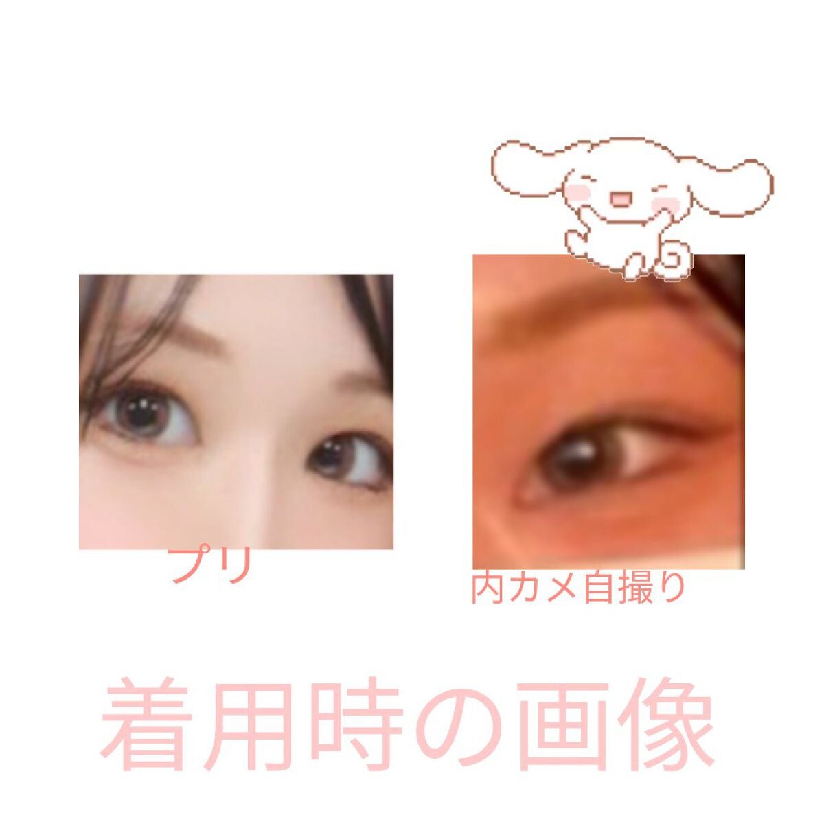 Flanmy 1day(10枚30枚)|flanmyのカラコンレポ・着画口コミ 〔フランミー サクラロール〕 Dia 145 着色直径