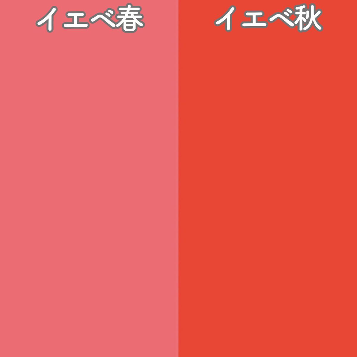 パーソナルカラー診断|viséeの口コミ 【指を置くだけでわかる!?自分でパーソナルカラー診断】 By さやか🩶韓国スキンケアフォロバ