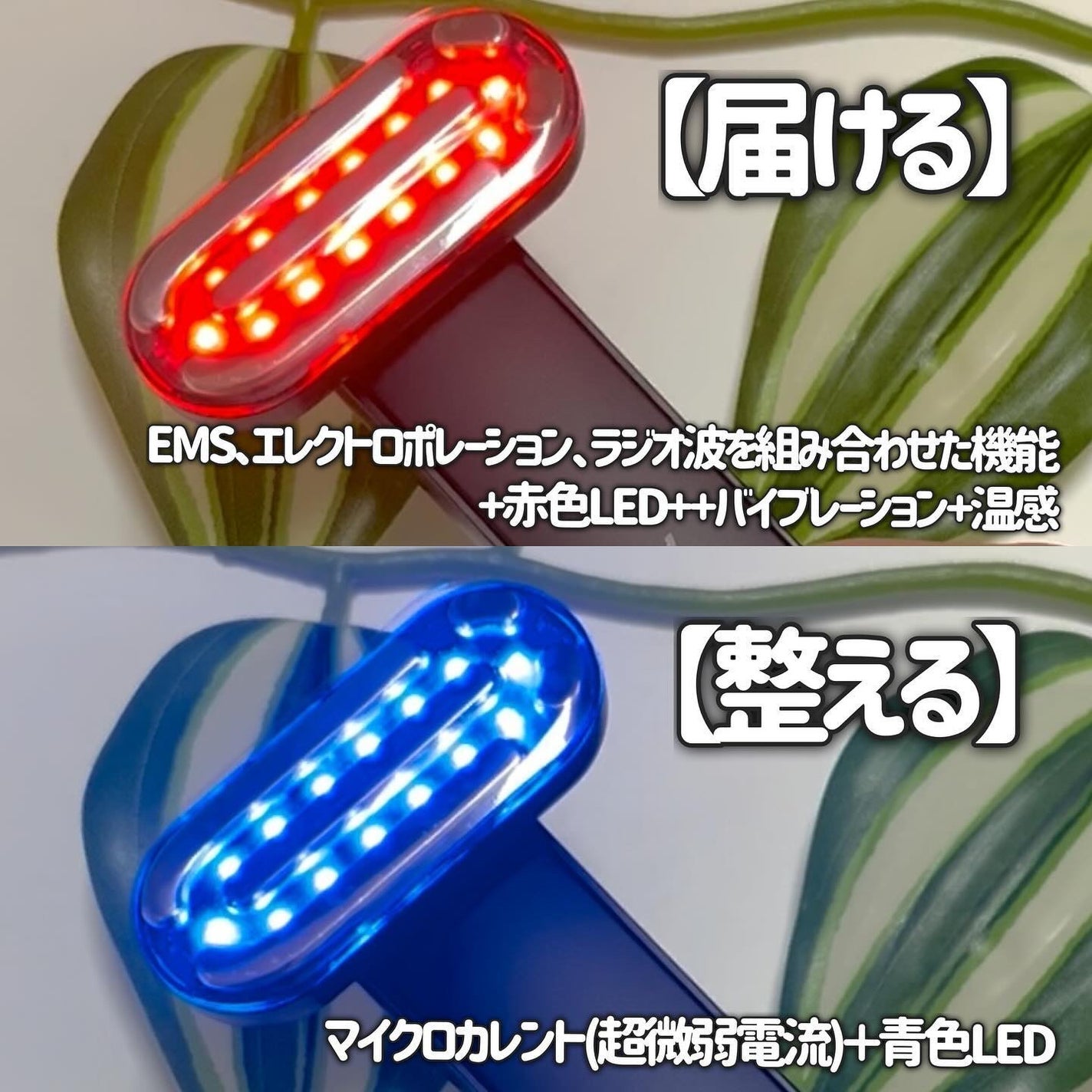 ディズム EMS EER メディスキンケアデバイス|DISMの使い方を ディズム EMS EER メディスキンケアデバイス|DISMの使い方を