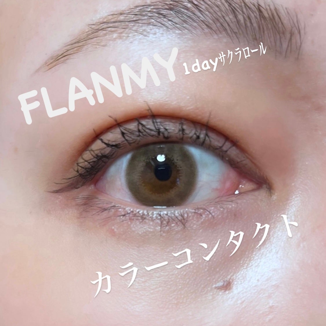Flanmy 1day(10枚30枚)|flanmyのカラコンレポ・着画口コミ 手放せないナチュラルカラコン💛 By 蘭子自分磨き