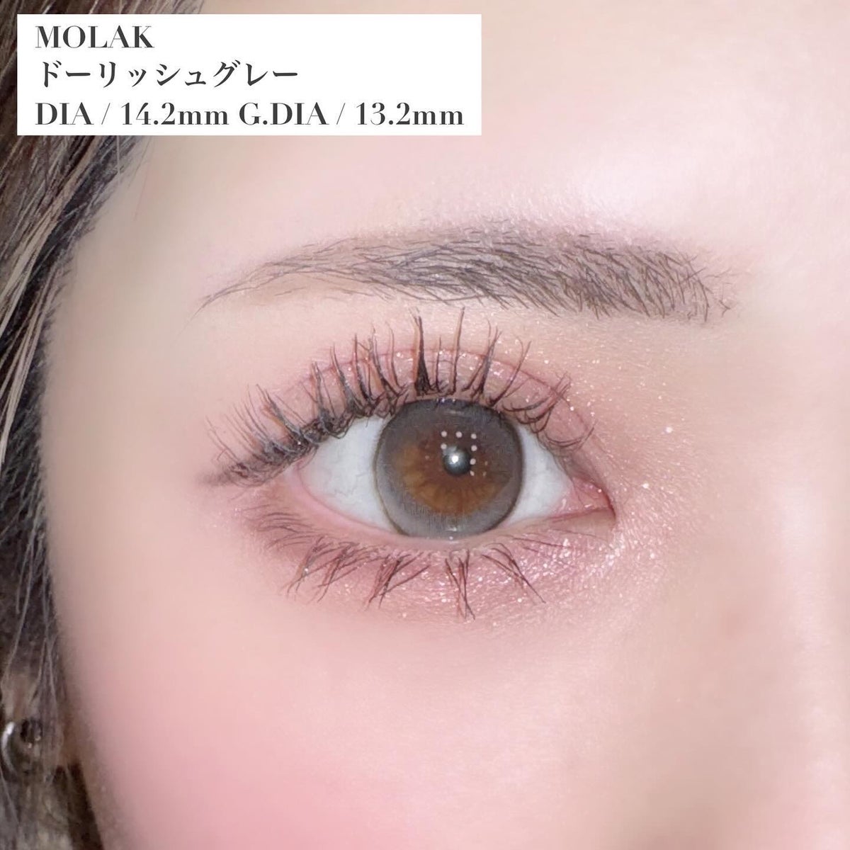 Molak 1day|molakのカラコンレポ・着画口コミ ︎ Molak ドーリッシュグレー By かえてや 🖤 フォロバ混合肌