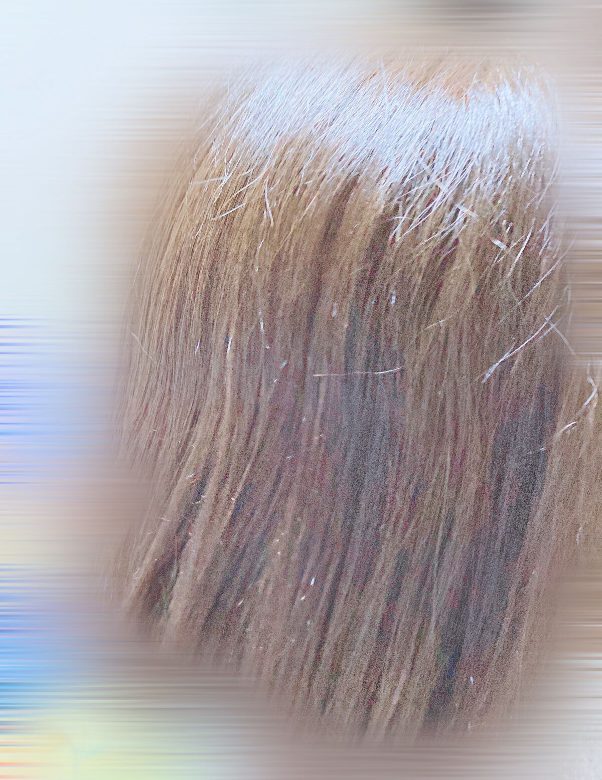 ミルキーヘアカラー プレミアムベージュ フレッシュライトfresh Light Lips