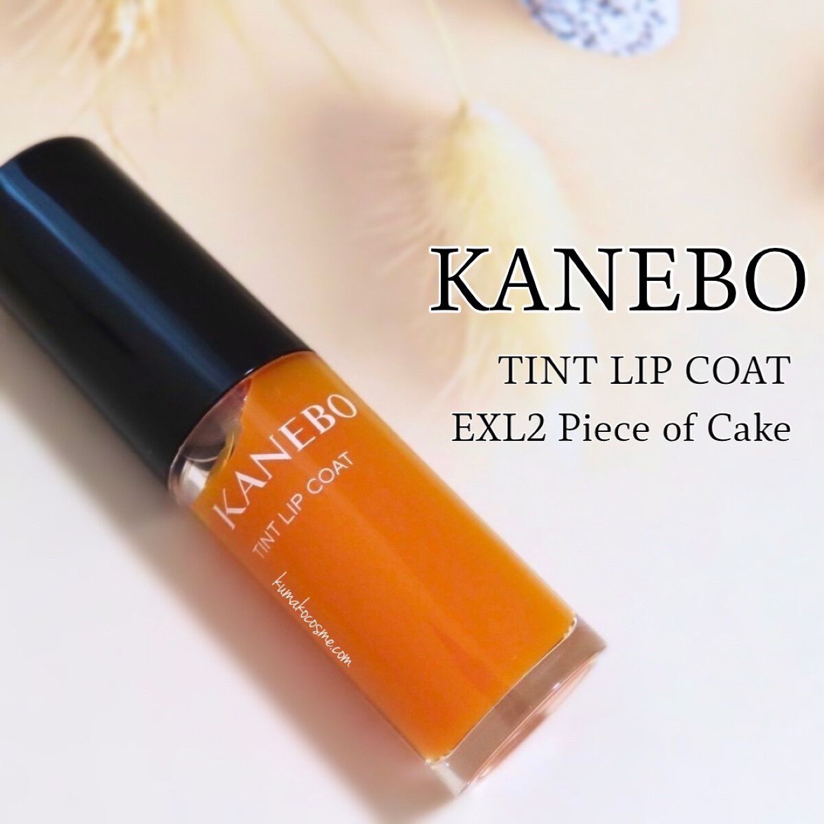 【限定リップグロス】ティントリップコート|kaneboの口コミ ブルベ夏におすすめのリップグロス!𖤐 Kanebo カネボウ ティント