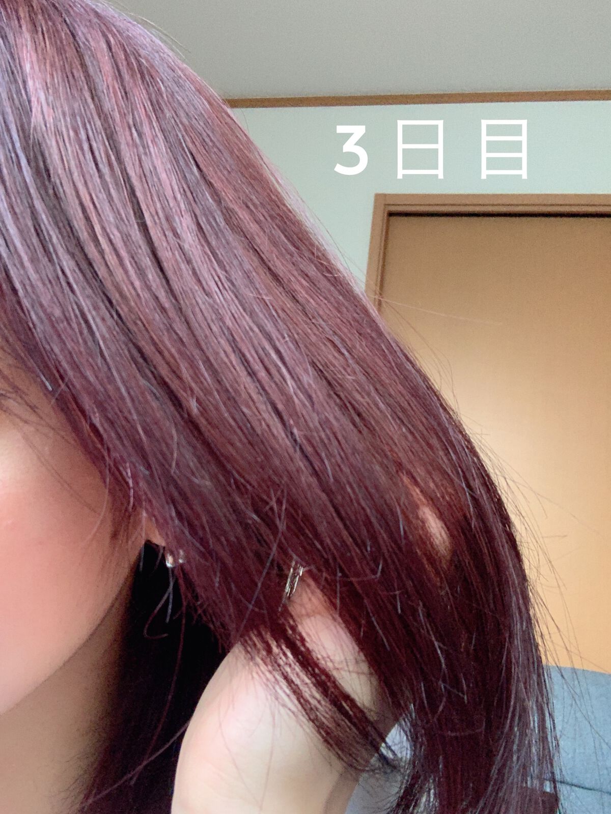 泡カラー|リーゼの口コミ ブリーチ無し明るめブラウン10トーンくらいから染めてみました。 By いし混合肌20代後半 Lips