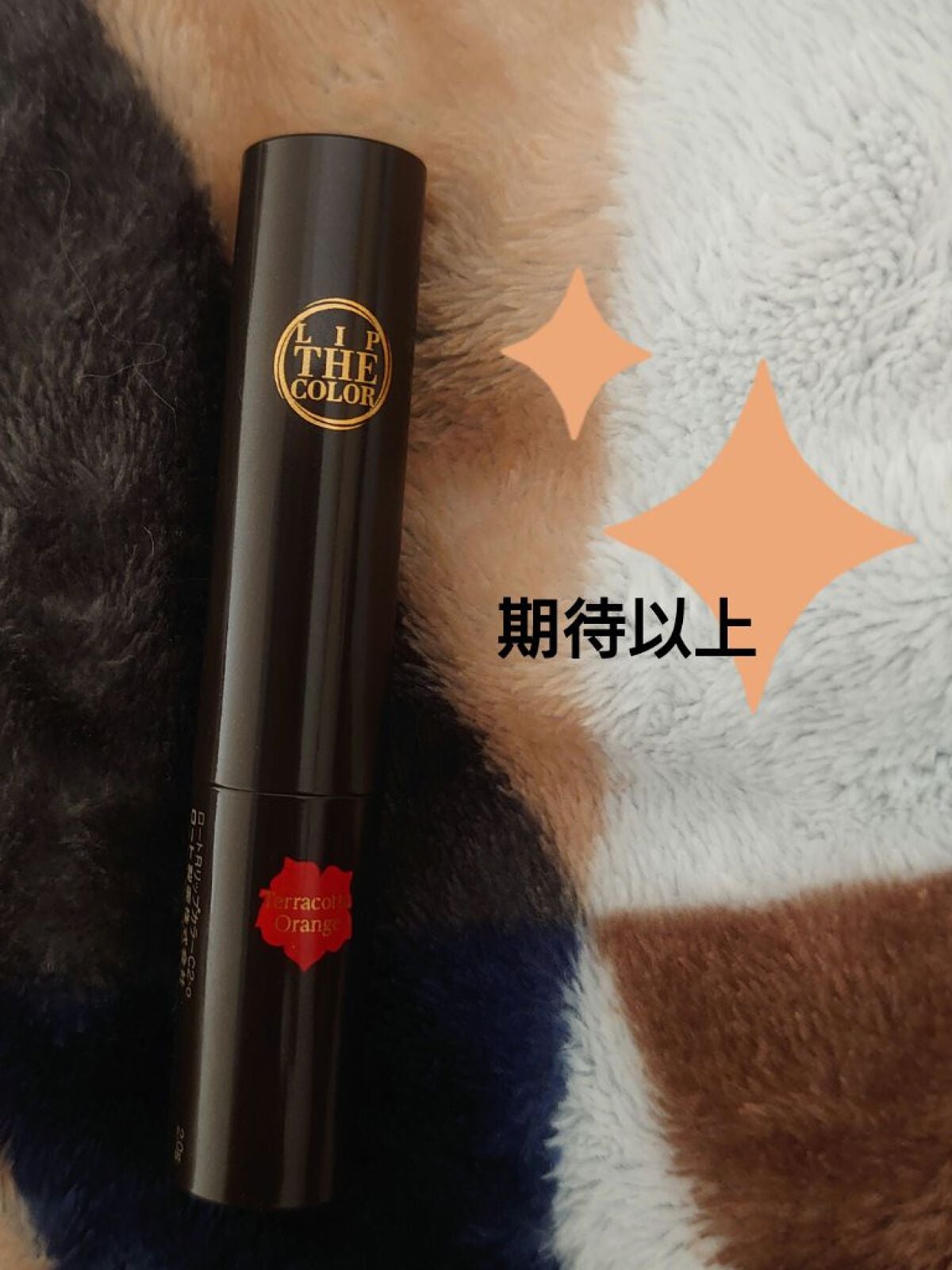 リップザカラー|リップザカラーの口コミ ロート製薬 リップザカラー テラコッタオレンジ By ゆづか🐾混合肌30代後半 Lips