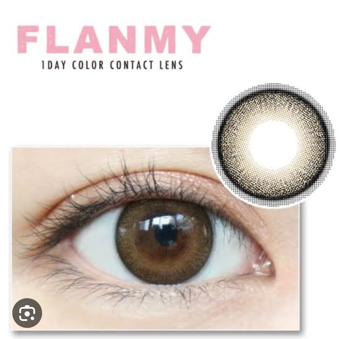 Flanmy 1day(10枚30枚)|flanmyのカラコンレポ・着画口コミ カラコンレポ フランミーメープルシフォン By りちい