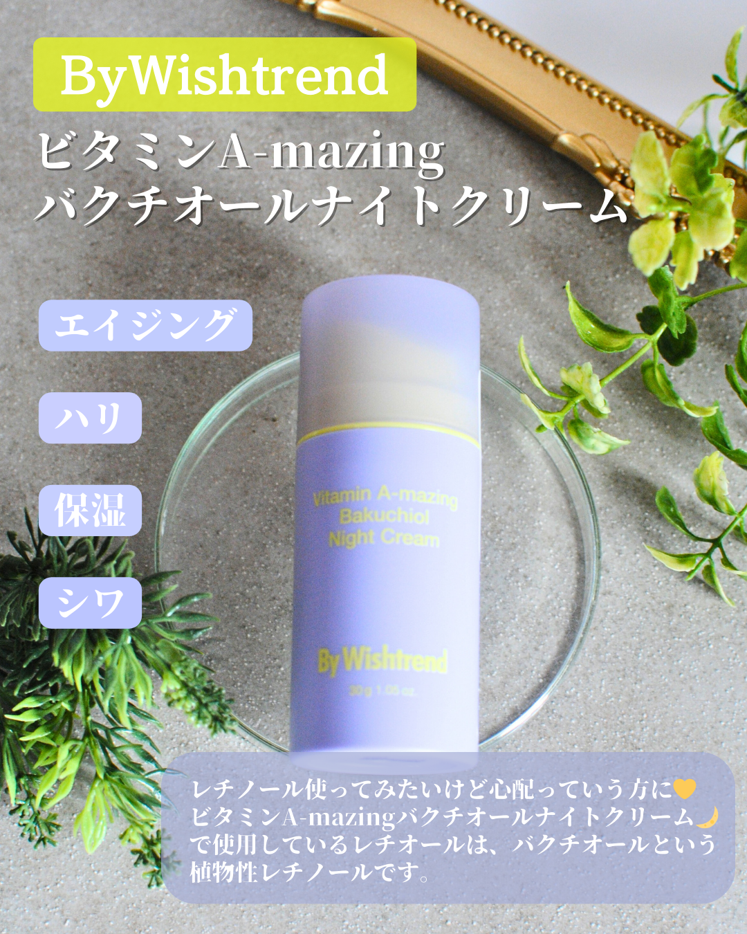 ビタミンa Mazingバクチオールナイトクリーム|by Wishtrendの効果に関する口コミ 乾燥肌におすすめのフェイスクリーム