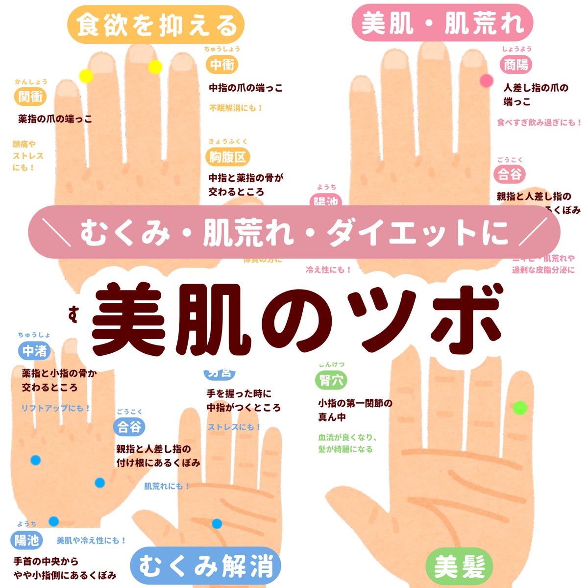 Daisoのボディグッズ かっさプレート&ボディ用かっさを使った口コミ 効果別!美容のツボ / By ぽん Lips