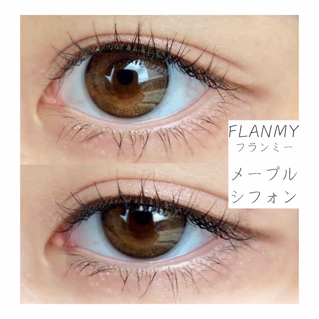 Flanmy 1day(10枚30枚)|flanmyのカラコンレポ・着画口コミ ジヨコカラコンレポ Flanmy Maple