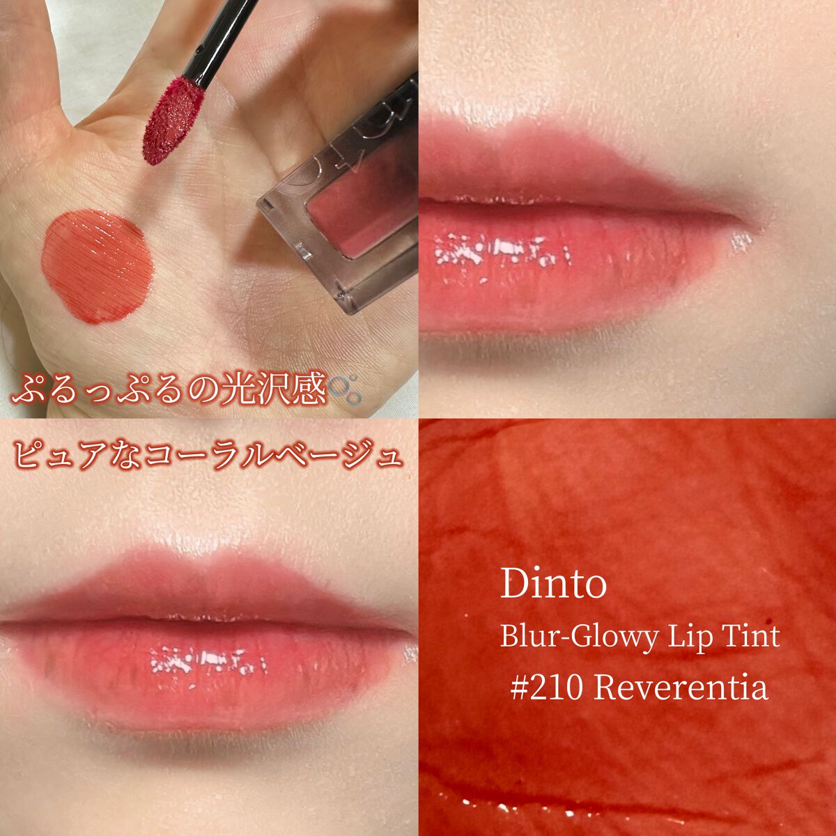 ブラーグロイリップティント 210 Reverentia / Dinto(ディーント) | LIPS
