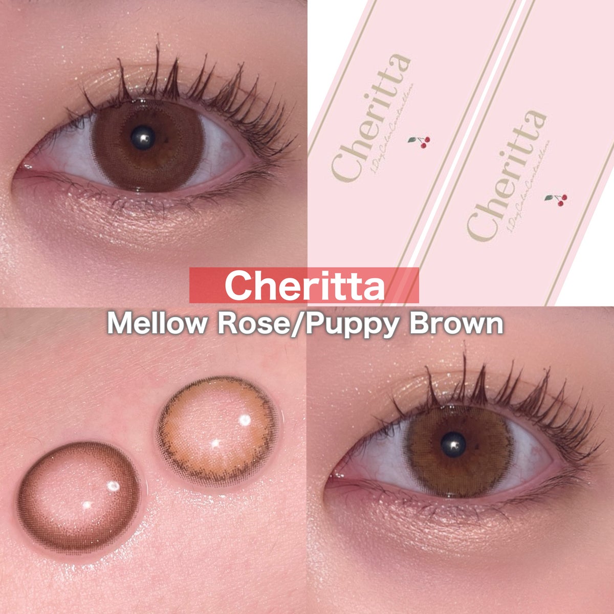 チェリッタ 1day|cherittaのカラコンレポ・着画口コミ ナチュラル重視な方に!初心者さんにもおすすめなシリーズ🎶/ By