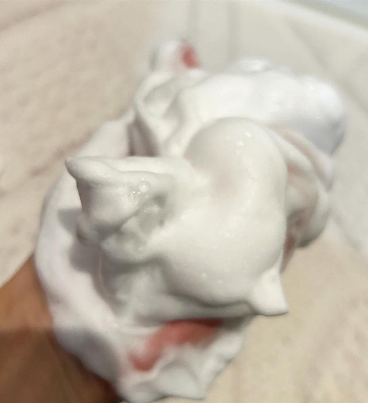 モイストアップウォッシュ|inner Partの口コミ サンドラッグとイオナの共同開発れた洗顔フォーム。 By Mochi ♡ →フォロバ