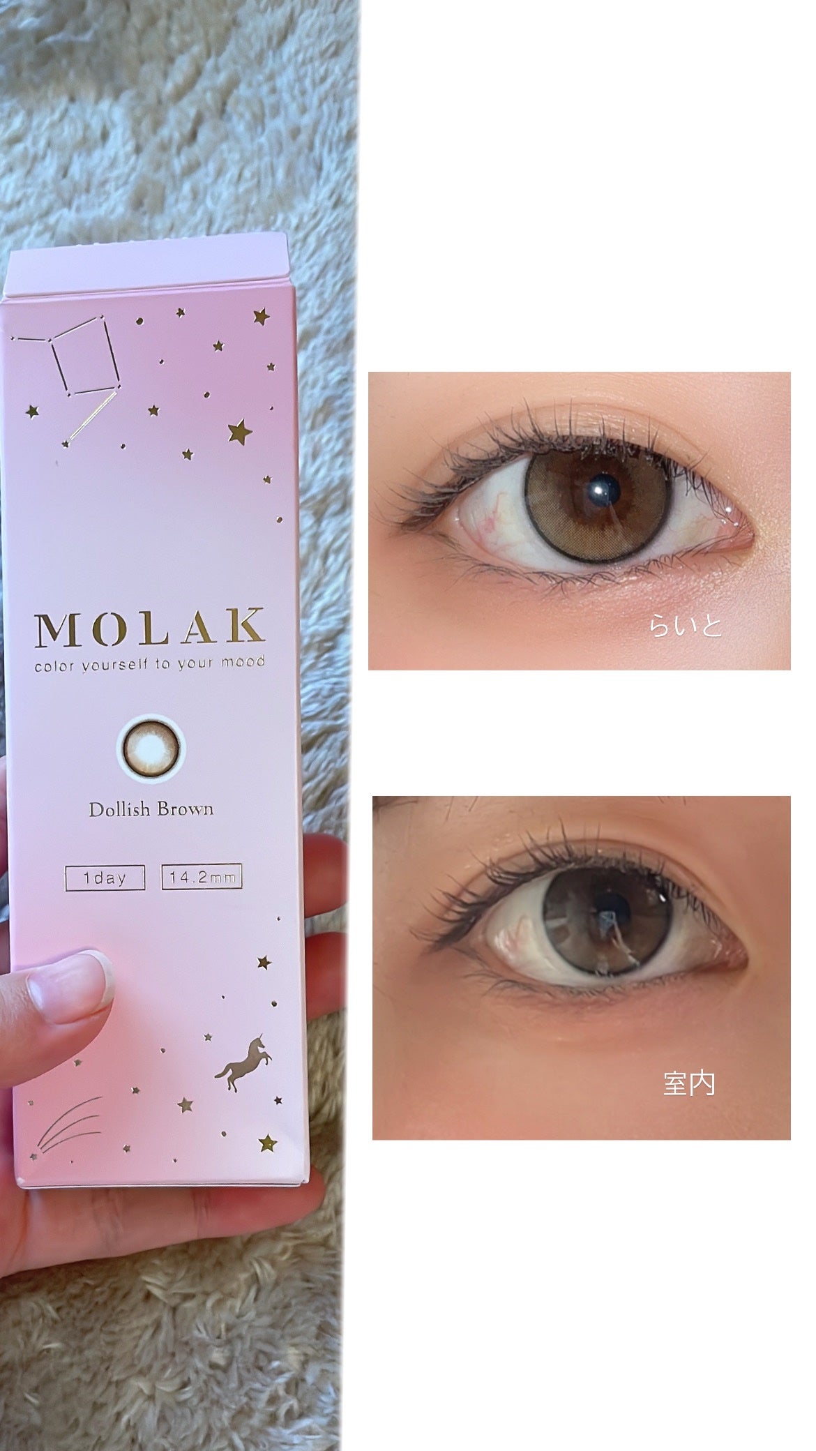 Molak 1day|molakのカラコンレポ・着画口コミ Molak ドーリッシュブラウン By Kano混合肌 Lips