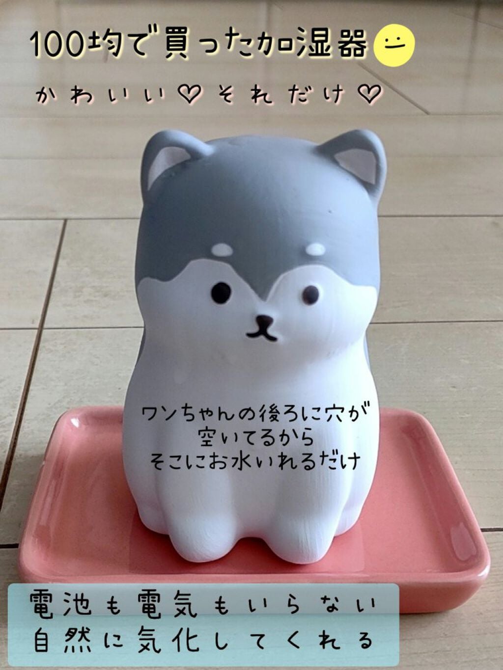 加湿ポット|daisoの口コミ 超優秀!100均で買えるおすすめコスメ!ダイソーで300円した加湿ポット By フグ混合肌 Lips