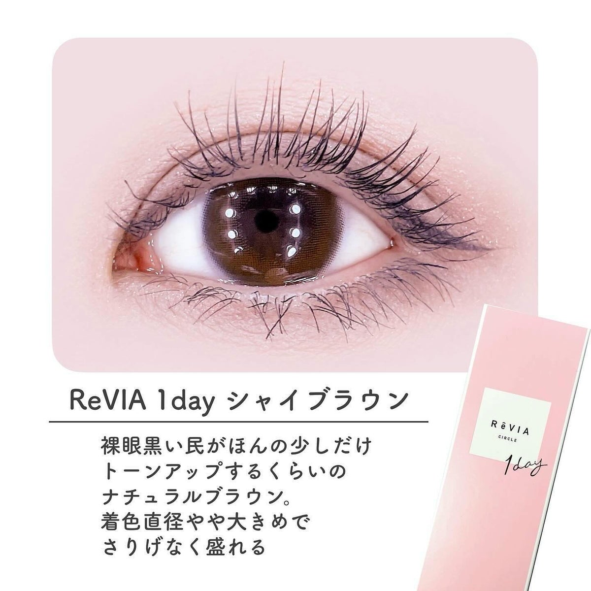 【限定ワンデー(1day)カラコン】revia Circle 1day|reviaのカラコンレポ・着画口コミ 🤎 Revia 1day