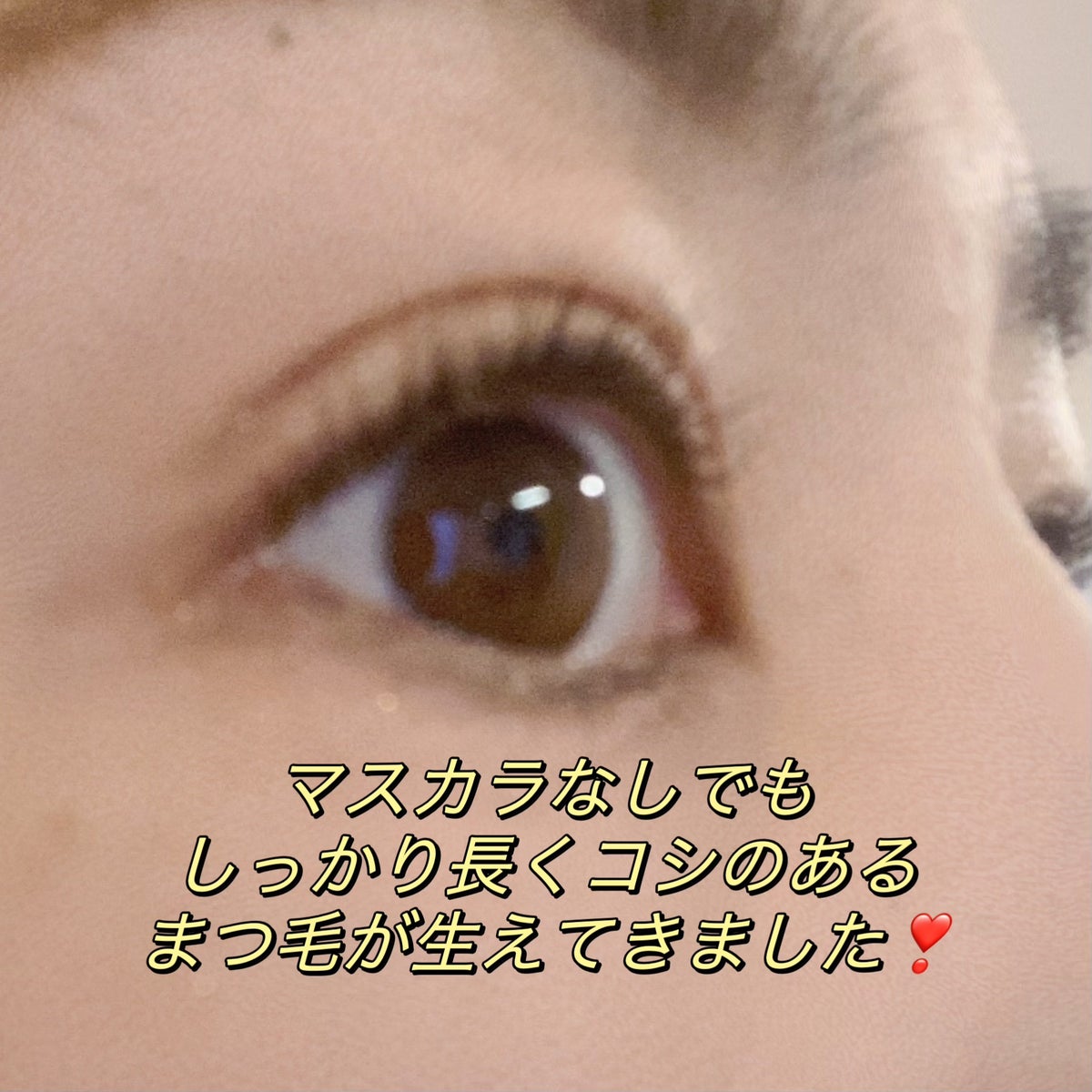 【2024年冬新作まつげ美容液】ラッシュプログラム |isehan Labの口コミ Lashprogram By 🌸emiフォロバ