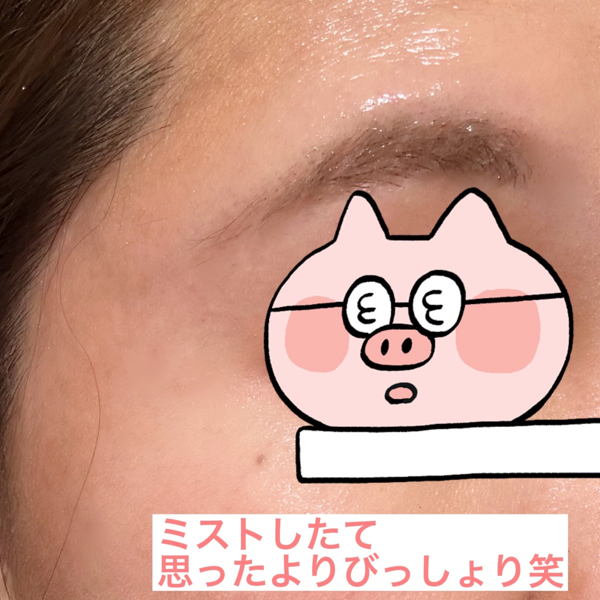 キープ コンフィデンス ミスト|vim Beautyの口コミ 乾燥肌におすすめのミスト状化粧水!ミストは普段コーセーのメイクキープミストe