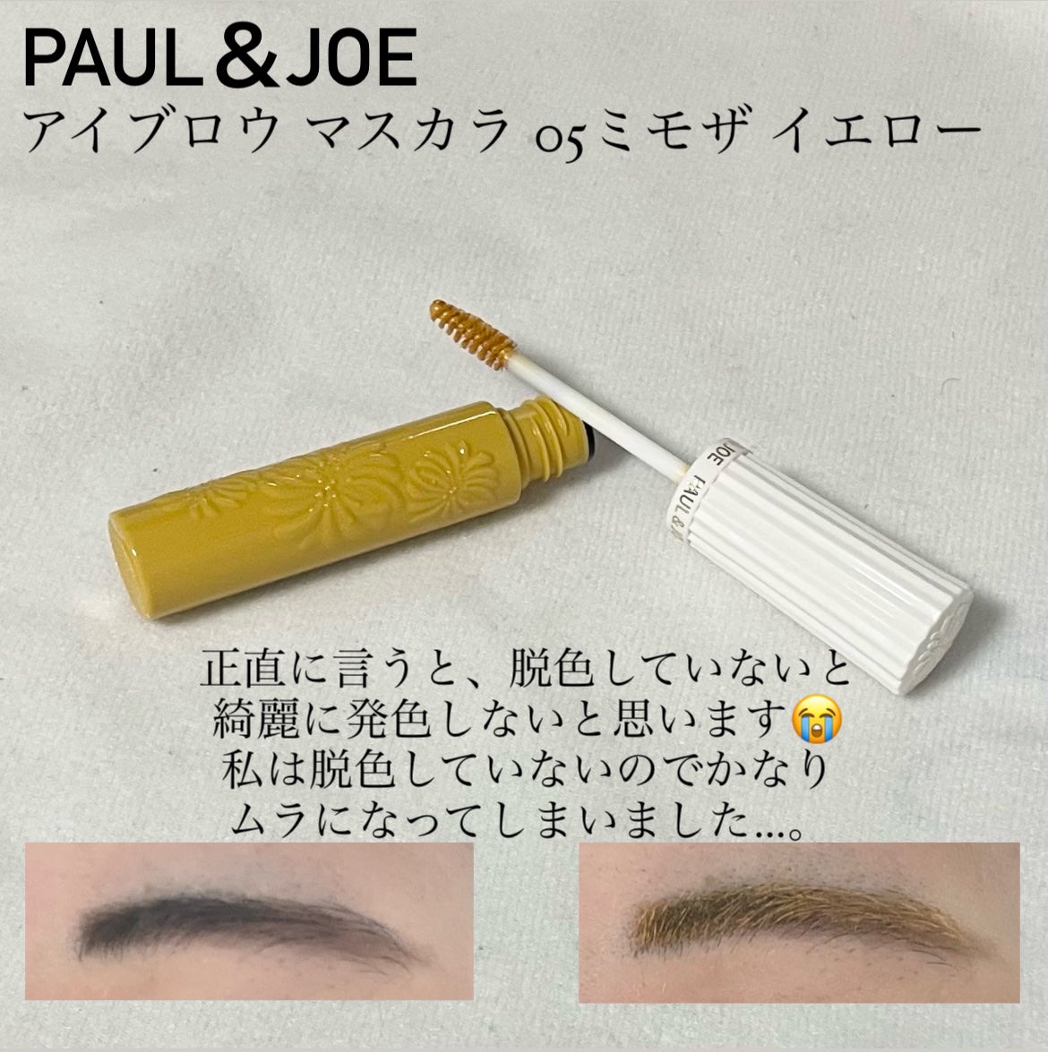 アイブロウ マスカラ|paul And Joe Beauteの辛口レビュー Paul And Joe さまより、アイブロウ By ちゃい脂性肌