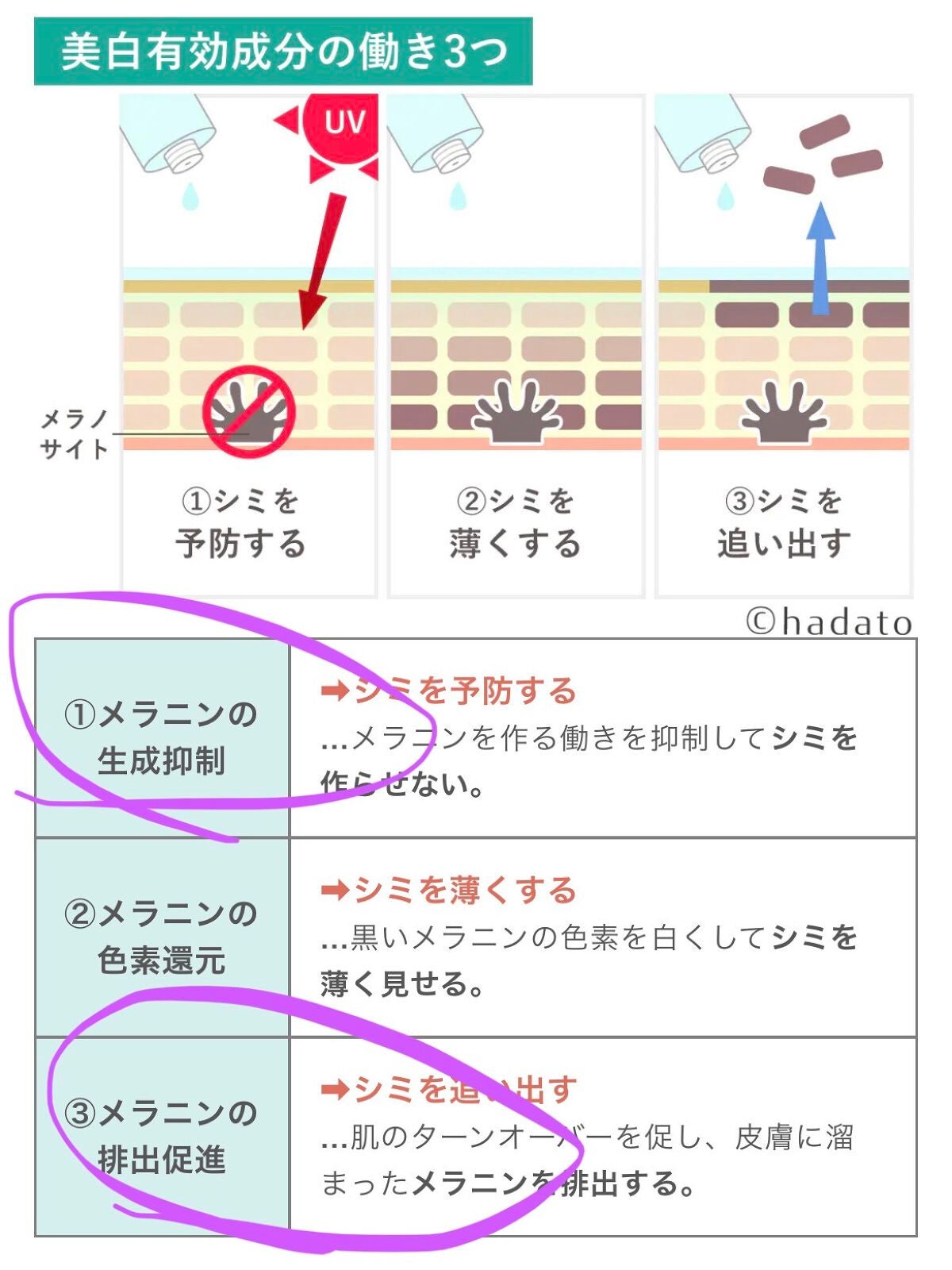 ハトムギ化粧水ナチュリエ スキンコンディショナー R |ナチュリエの口コミ ハトムギ化粧水1本使い切り! By ばた混合肌10代