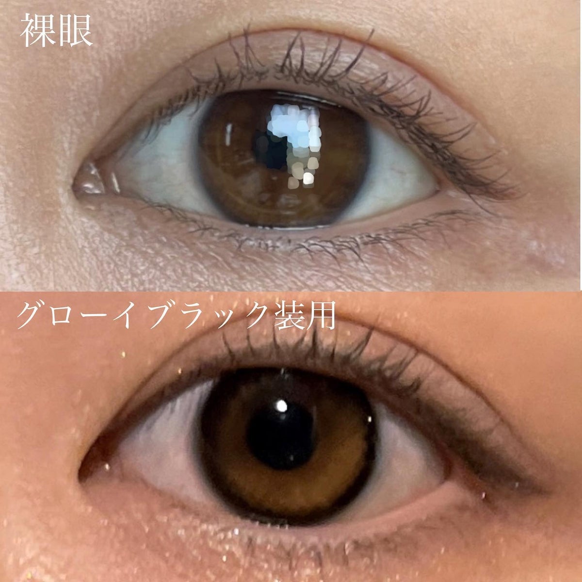 Eyelighter Glowy 1day|olens韓国のカラコンレポ・着画口コミ ちゅるん垢抜けブラック Olens オーレンズ