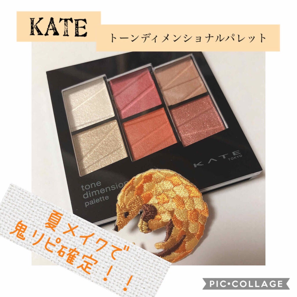 トーンディメンショナルパレット Ex 1 レッドブラウン系|kateの口コミ「今年の夏メイクの大本命アイシャドウを見つけました!!🌞