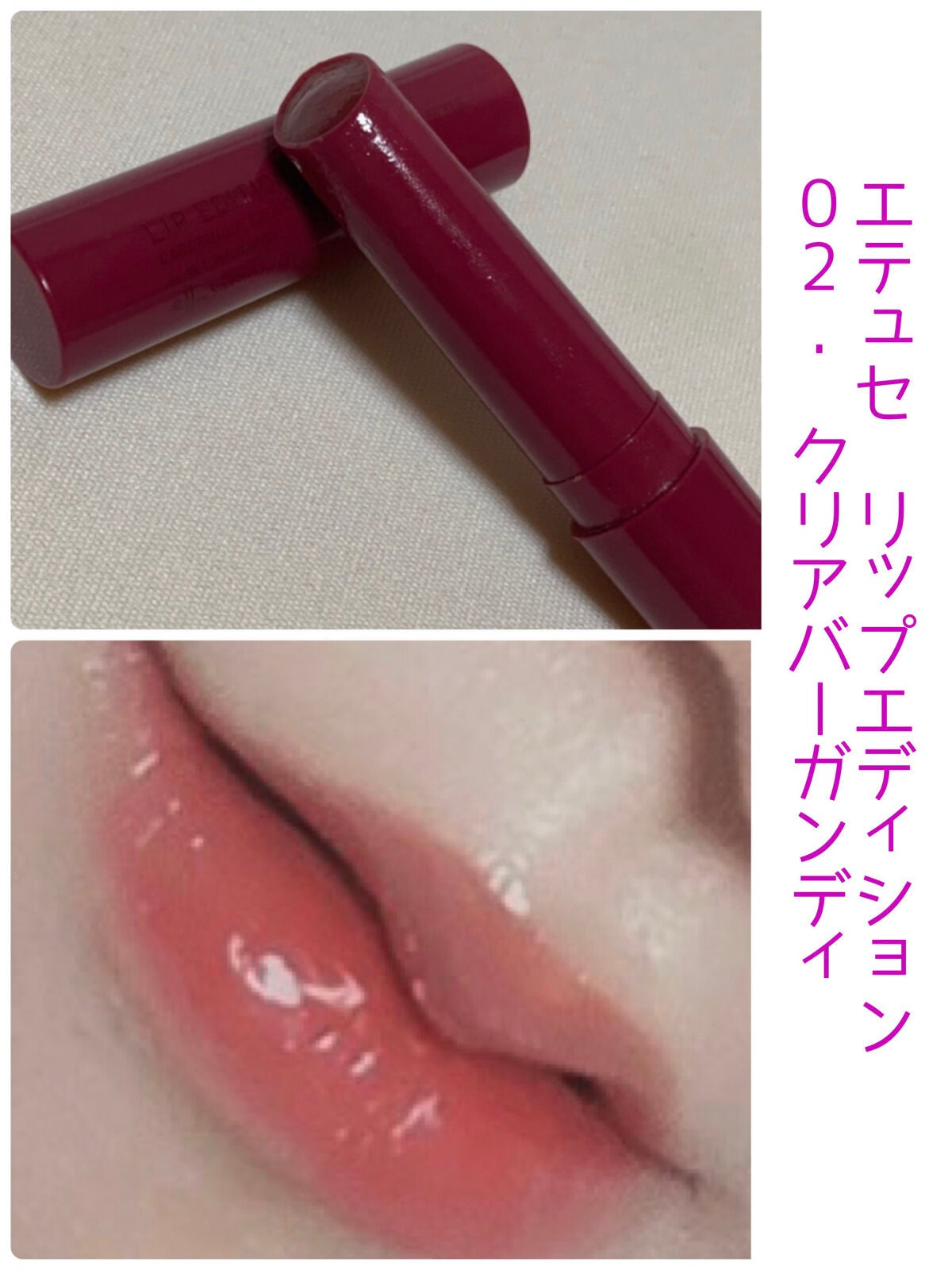 エテュセ リップエディション(プランパー)リッチスタイルヘルシースタイル|ettusaisの口コミ エテュセ リップエディション By